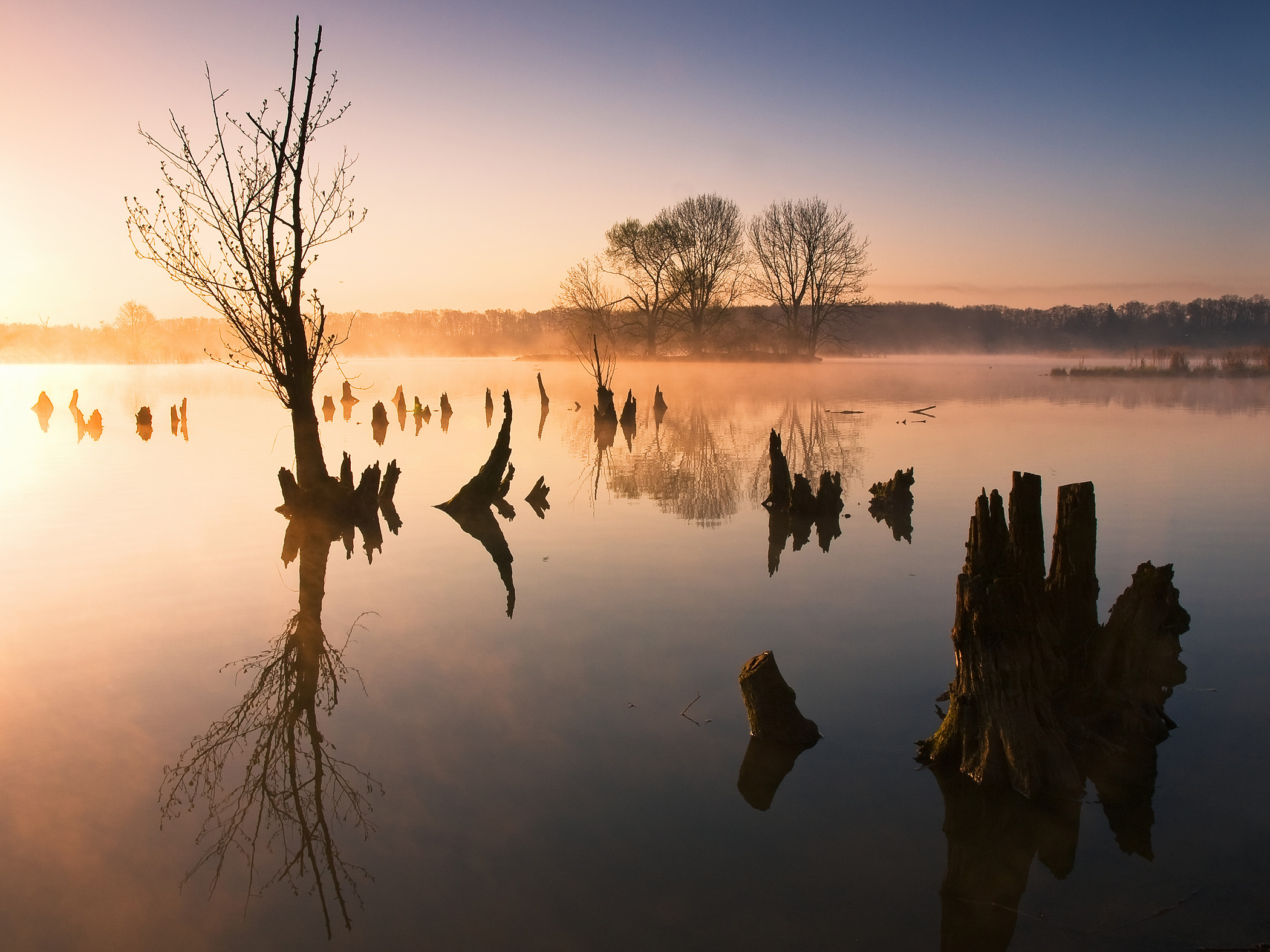 Morning at Pond II | Jan Bainar Photography